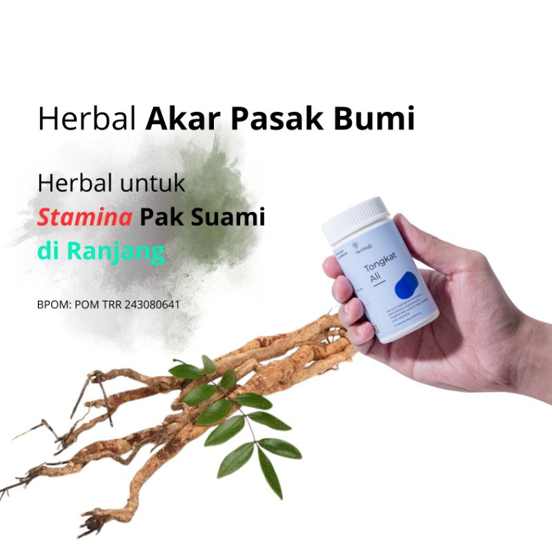 Jual Herbal Pasak Bumi Tongkat Ali | Shopee Indonesia
