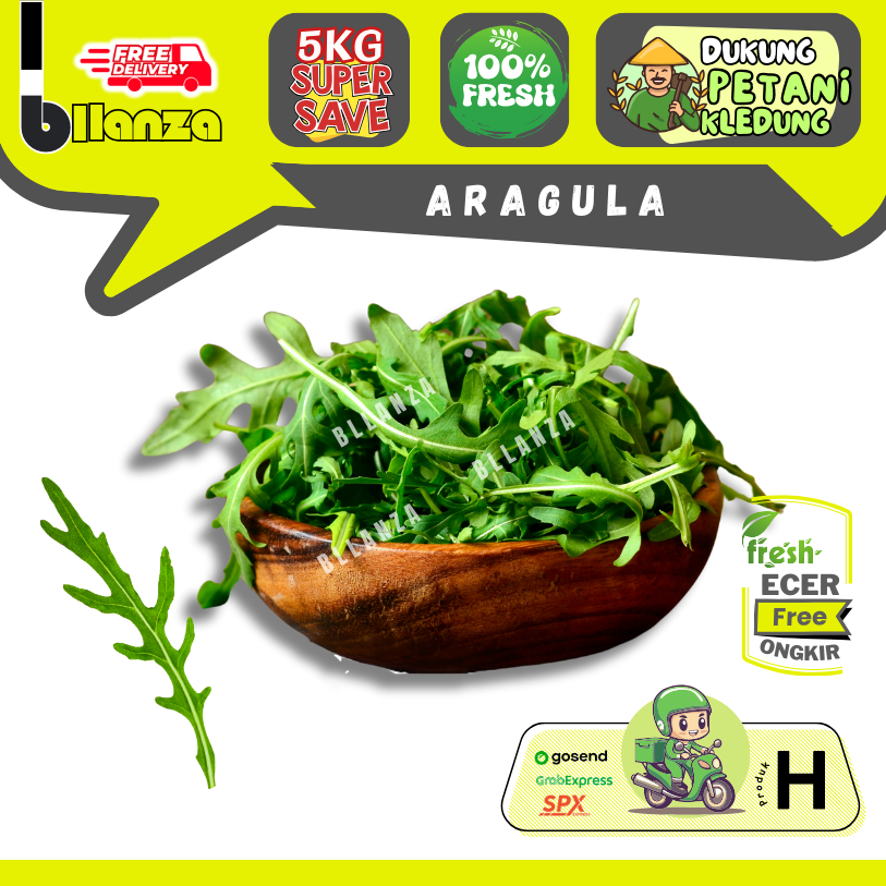 Jual Bllanza | Arugula Wild Rocket Rucola Fresh — Sayur Gunung ECER (H ...