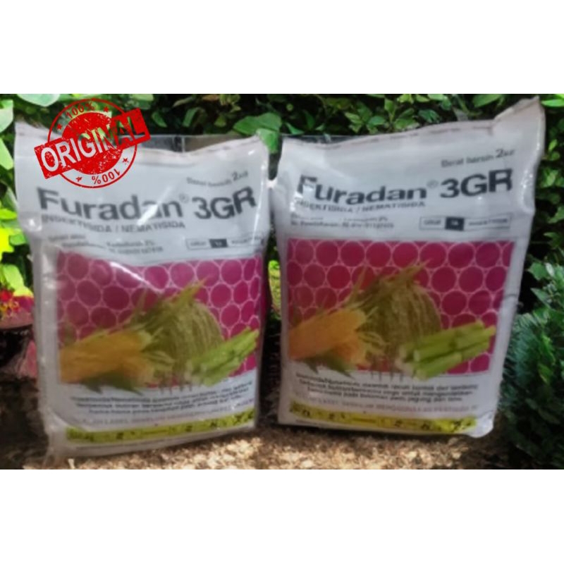 Jual Furadan 3GR Kemasan 2Kg | Shopee Indonesia