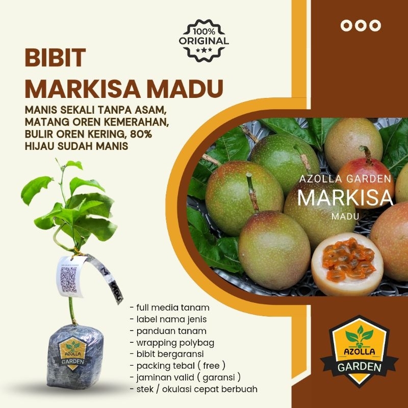 Jual bibit markisa madu original full manis tanpa asam | Shopee Indonesia