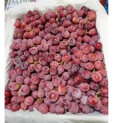 Jual buah anggur red globe import / box | Shopee Indonesia