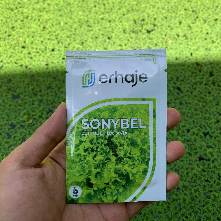 Jual Benih selada batavia Sonybel bejo seed | Shopee Indonesia