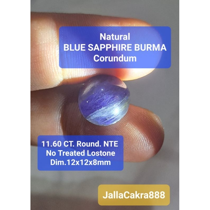 Jual Natural BLUE SAPPHIRE BURMA 11.60 CT NTE Batu Permata Safir Biru ...