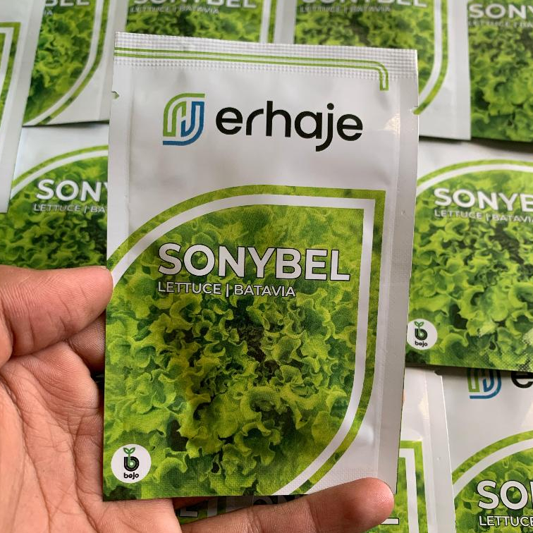 Jual Benih selada batavia SONYBEL bejo seed | Shopee Indonesia