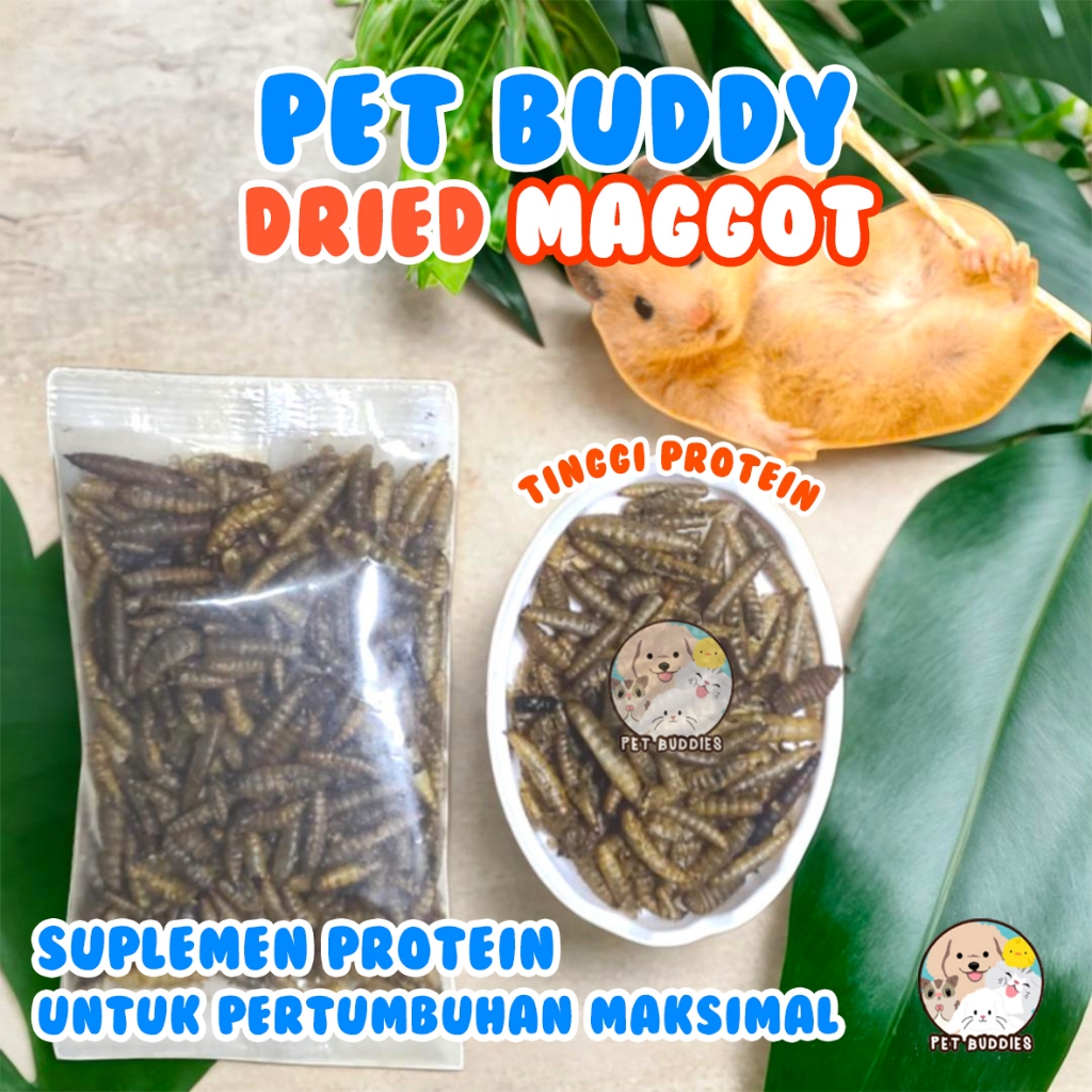Jual Snack Hamster / Dried Maggot / Makanan Hamster / Suplemen Protein ...