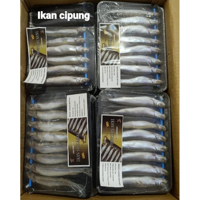 Jual IKAN FROZEN SHISAMO / IKAN CIPUNG | Shopee Indonesia