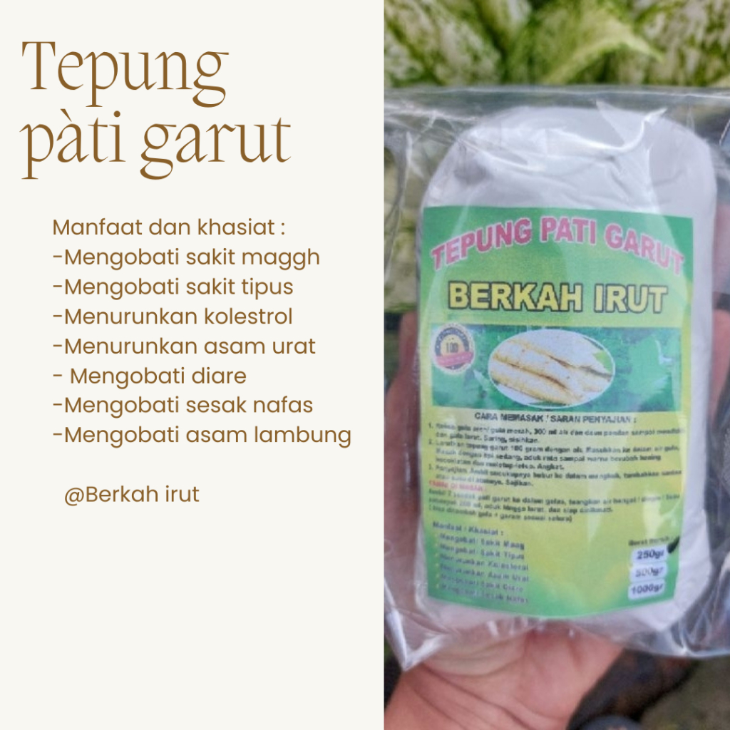 Jual Tepung Pati Garut Halus Solusi Maag dan Asam lambung 250gram ...