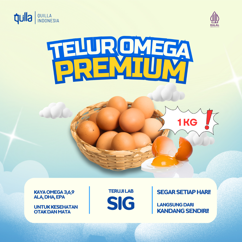 Jual QUI EGG TELUR OMEGA 1KG (UK. KECIL 17-20) - Premium Grade A ...