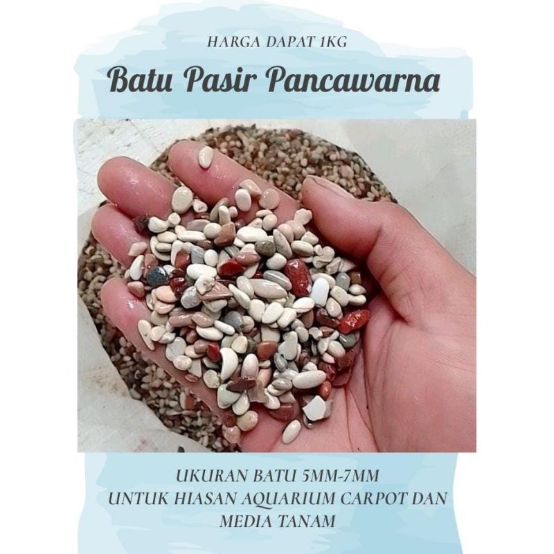 Jual 1kg Batu pasir pancawarna ukuran 5mm-7mm/Batu pancawarna 1kg ...