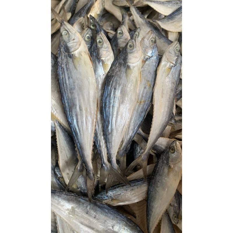 Jual ikan talang / ikan wais kering | Shopee Indonesia
