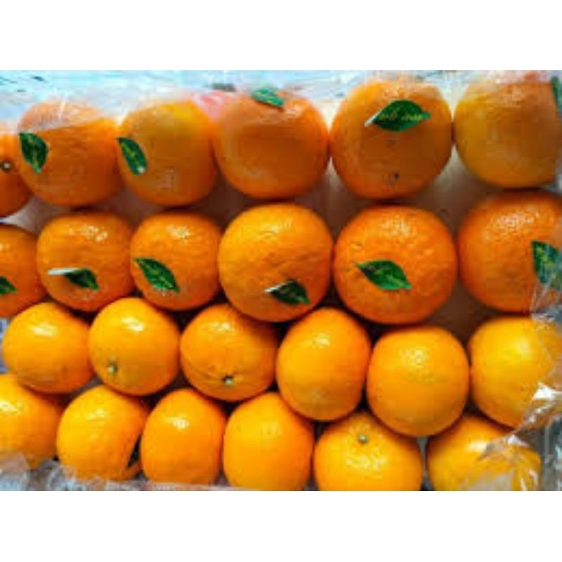 Jual jeruk mandarin segar dan manis by jabonfruit | Shopee Indonesia