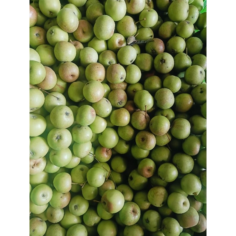 Jual apel malang jenis manalagi kecil 1kg 30-35 buah apel dan KECIL ...