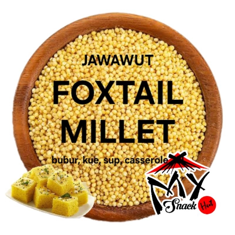 Jual FOXTAIL MILLET 100GR BIJI JAWAWUT JEWAWUT ITALIAN SETARIA ITALICA ...