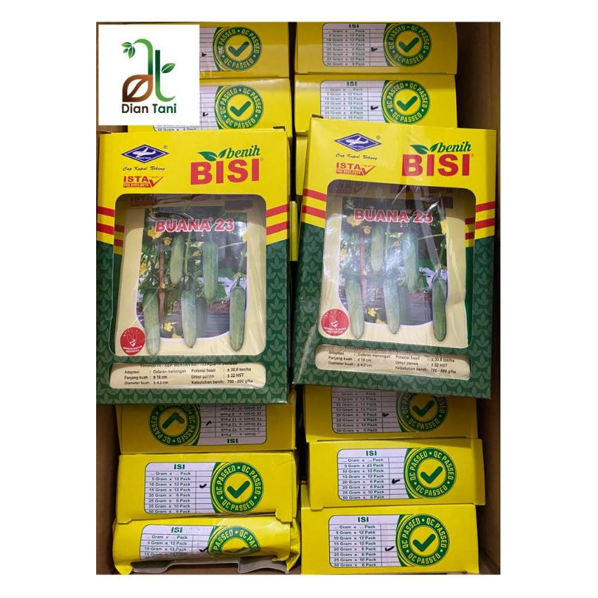 Jual BENIH TIMUN BUANA 23 F1 20 GRAM KAPAL TERBANG | Shopee Indonesia