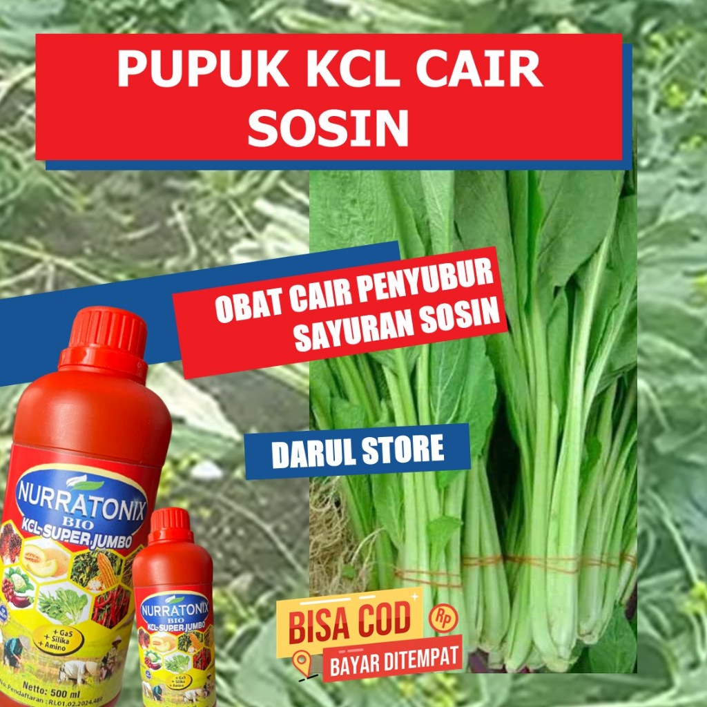 Jual Pupuk Kcl Nurratonix 500 ml untuk Masa Pertumbuhan dan ...
