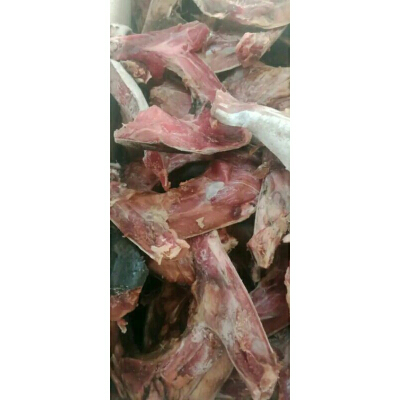 Jual Rahang tuna fresh segar beku 1kg | Shopee Indonesia
