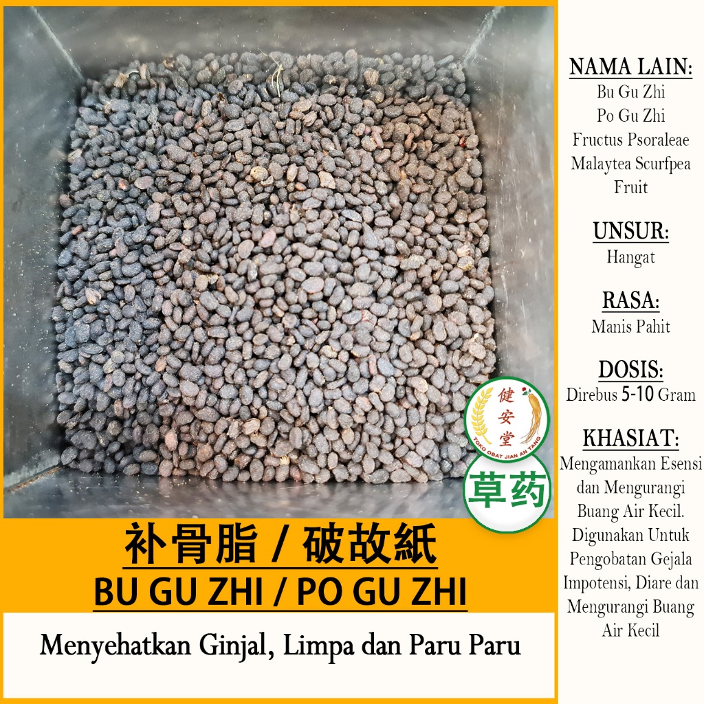 Jual BU GU ZHI - PO GU ZHI - Fructus Psoraleae - Herbal TCM Menyehatkan ...