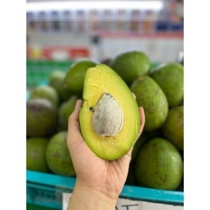 Jual Alpukat Pokat mentega JUMBO per kilo ukuran besar avocado alpokat ...
