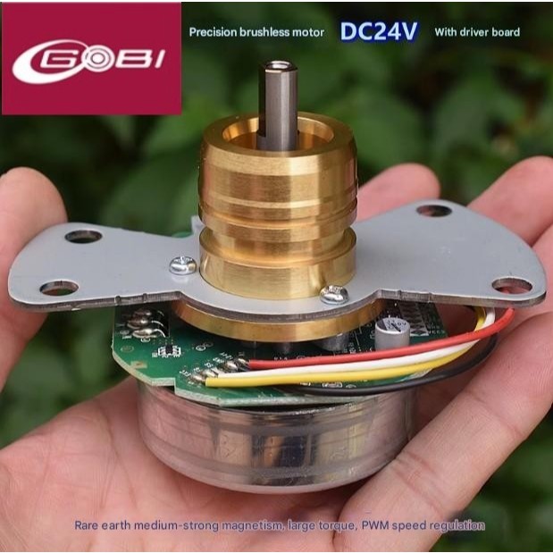 Jual Dinamo Japan Brushless Motor DC24V Rare Earth Strong Magnetic ...