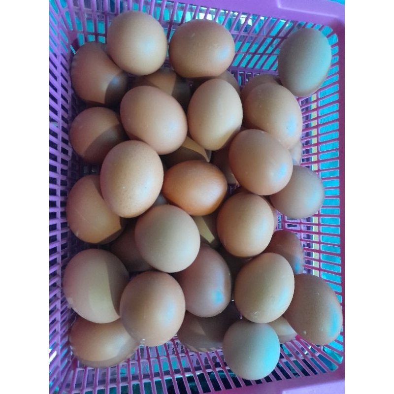 Jual Telur Omega 2kg | Shopee Indonesia