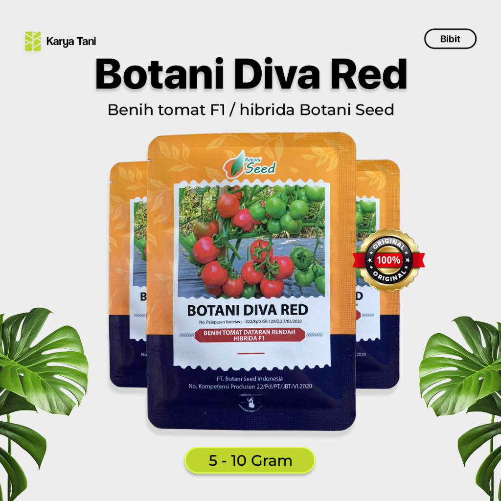 Jual BENIH TOMAT HIBRIDA F1 BOTANI DIVA RED 5 GRAM DAN 10 GRAM | Shopee ...