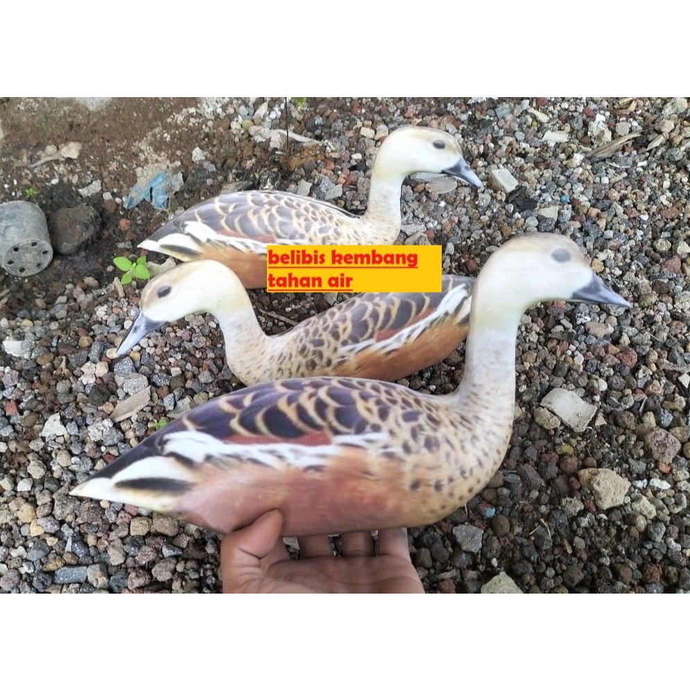 Jual JONTROT BELIBIS KEMBANG MIRIP ASLI TAHAN AIR PENYOK PATUNG BELIBIS ...