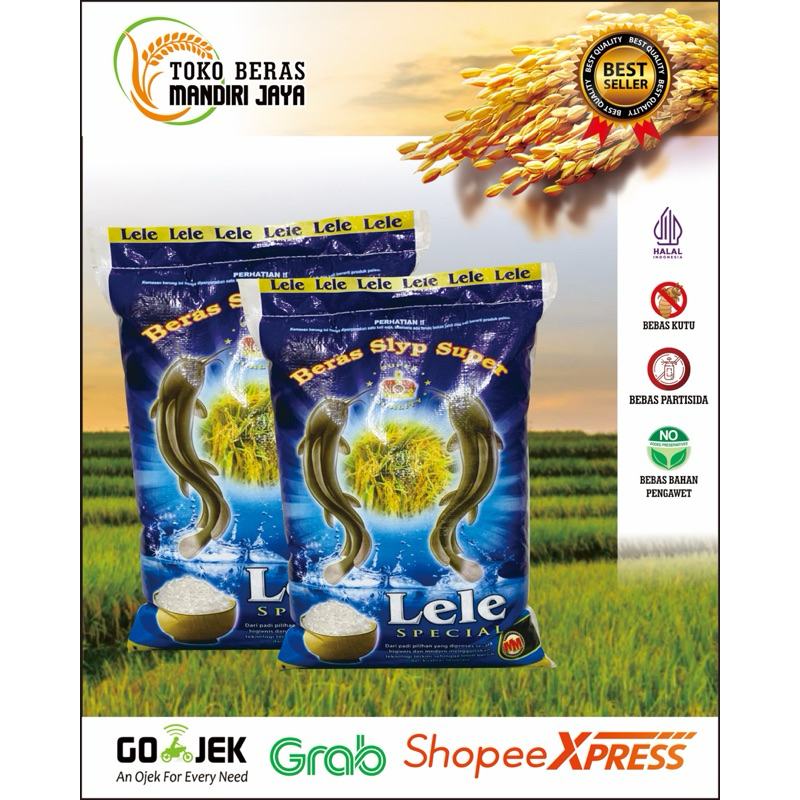 Jual Lele Special 5Kg 10Kg 20Kg | Shopee Indonesia
