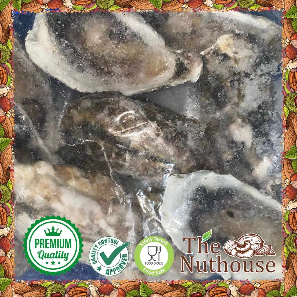 Jual Frozen Oyster Half Shell / Kerang Tiram Beku Belah 10 biji ...