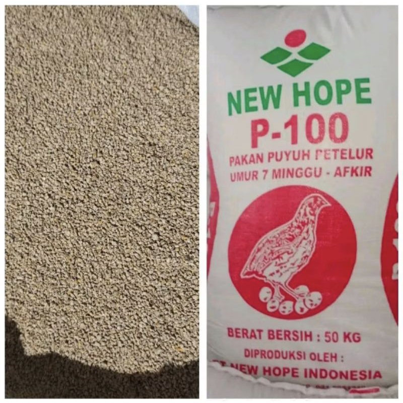 Jual Pur Puyuh Petelur Pakan Anakan Puyuh Pur DOQ DOC DOD Pur Anak Ayam ...