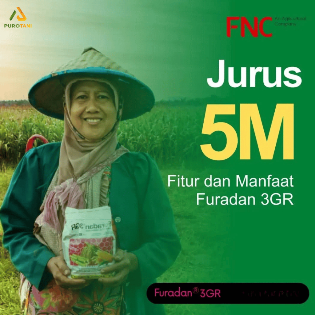 Jual Insektisida Furadan 3GR Puradan 3 GR Pengendali Hama Pembasmi ...