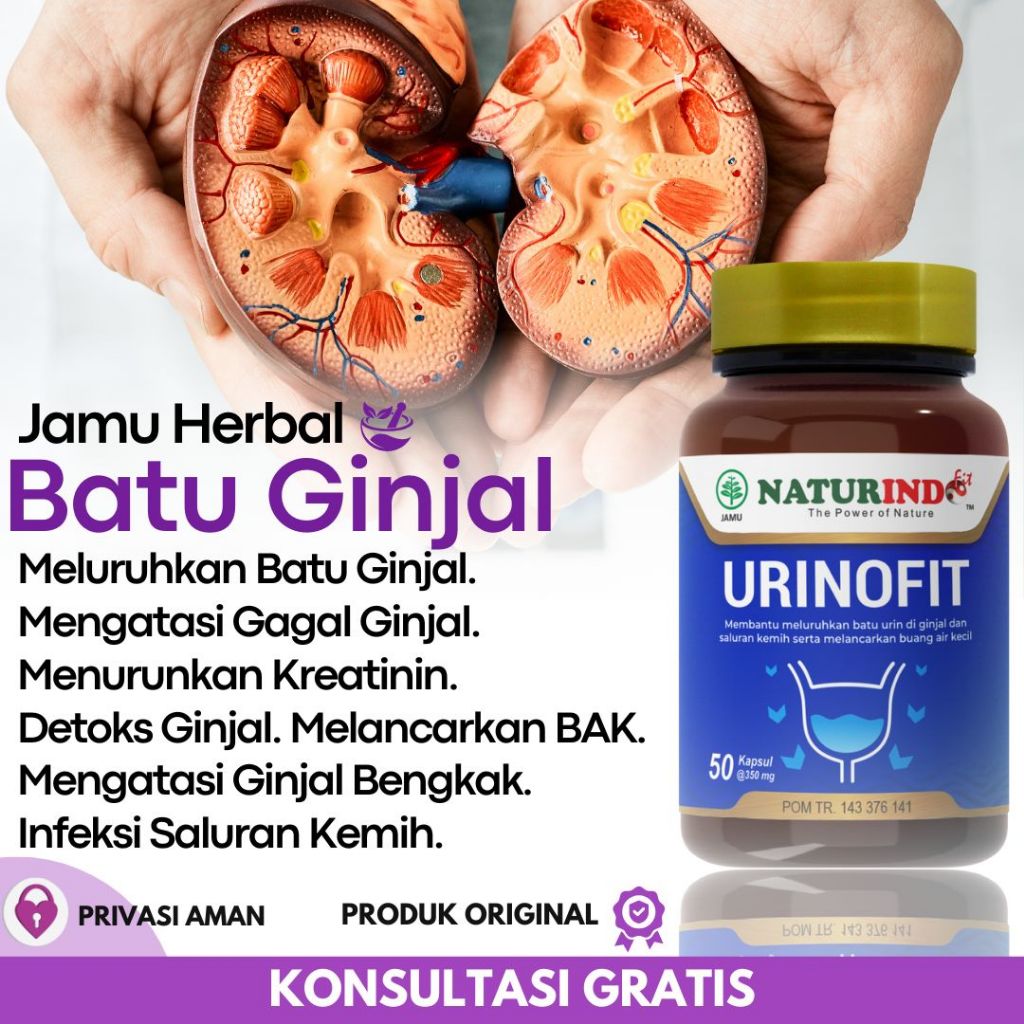 Jual Obat Herbal Batu Ginjal Obat Kencing Batu Obat Herbal Infeksi ...