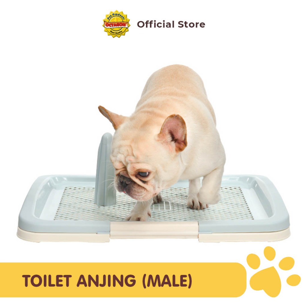 Jual Pet Toilet Anjing | Toilet Training | Tempat Pipis Anjing Potty ...