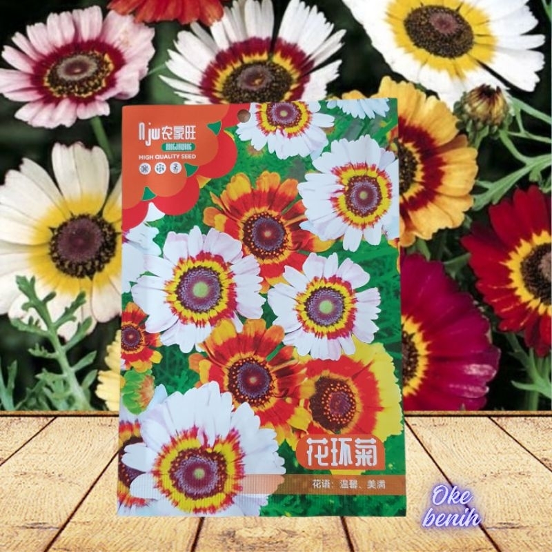 Jual KEMASAN ORIGINAL 700 BUTIR BENIH BUNGA PAINTED DAISY IMPORT ...