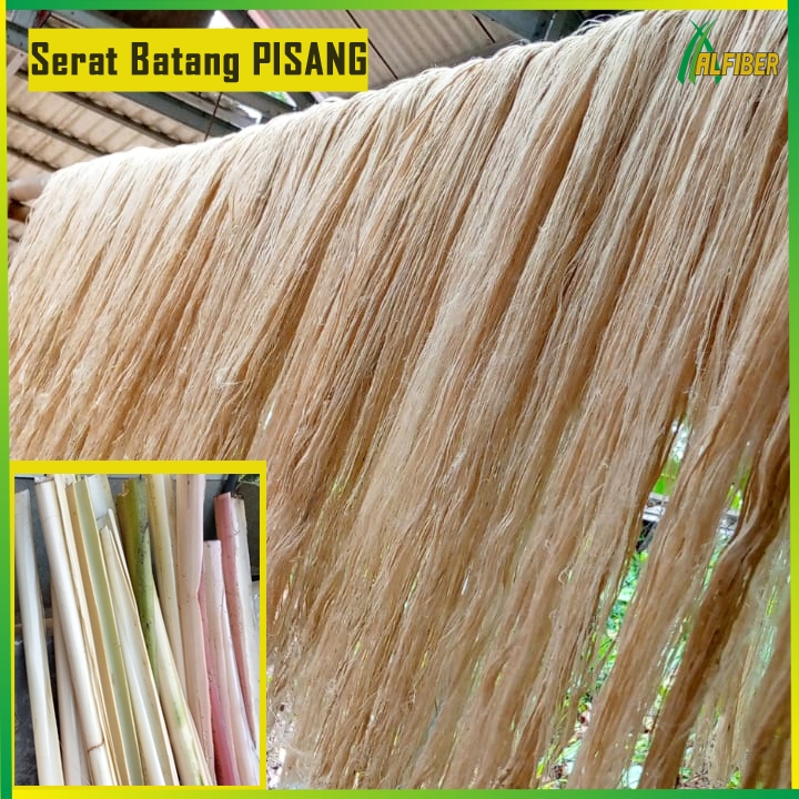 Jual Serat Batang/Pelepah Pisang Alfiber 100 % alami tanpa bahan kimia ...