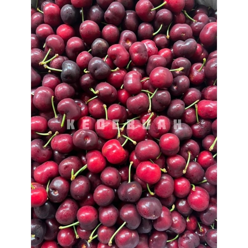 Jual Fresh Cherry Red USA | Shopee Indonesia