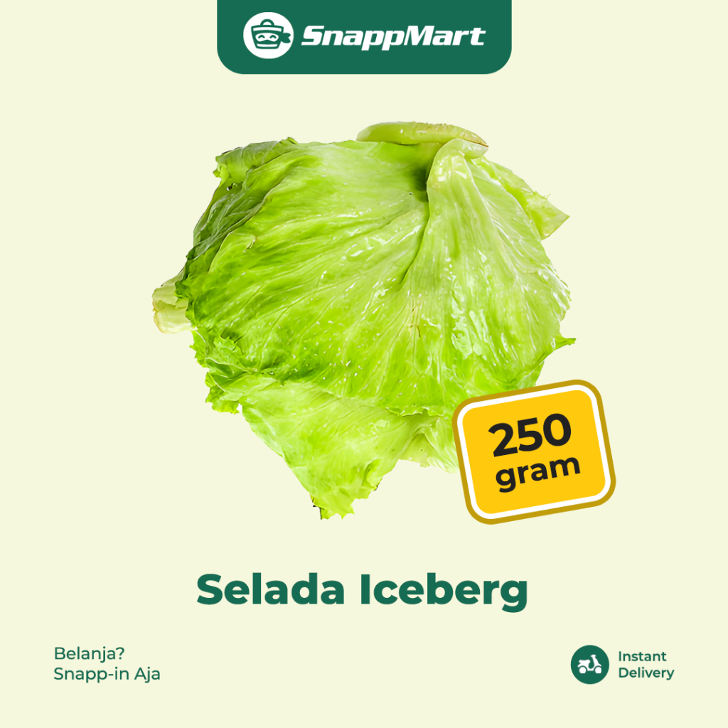 Jual Selada Iceberg Selada Bokor Head Lettuce Fresh Organik (250 gram ...
