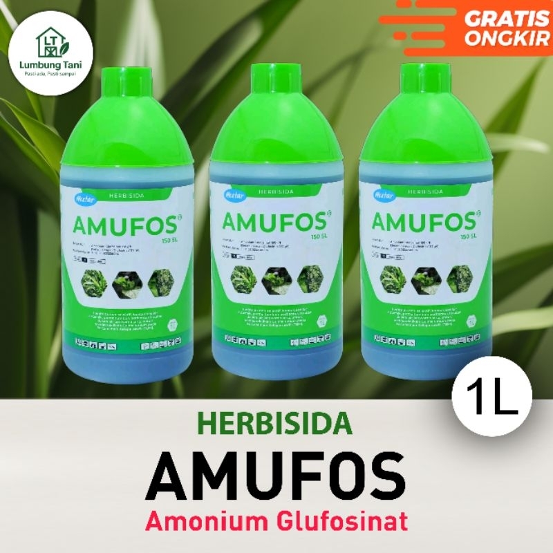 Jual Herbisida AMUFOS obat rumput lulang atau suket teki super ampuh ...