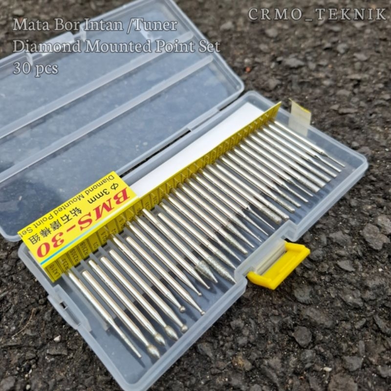 Jual Mata Bor Intan Tunner Set 30 Pcs BMS 3 mm Diamond Mounted Point ...