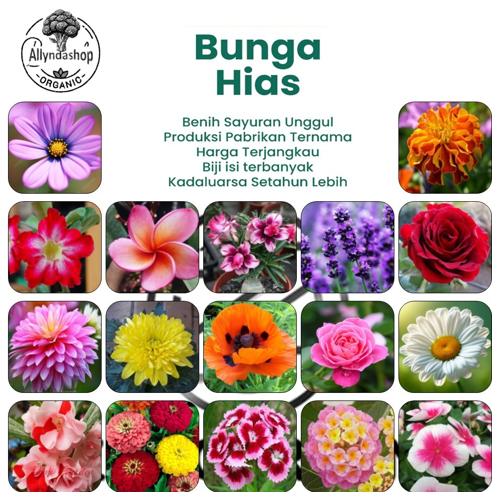 Jual Benih Bibit Bunga Tanaman Hias Varian Unggulan | Shopee Indonesia