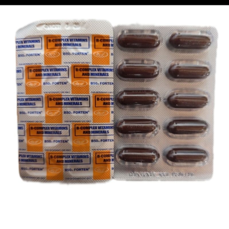 Jual B complex B50 FORTEN PLUS VITOP VITAMIN JELANG LAGA AYAM PENAMBAH ...