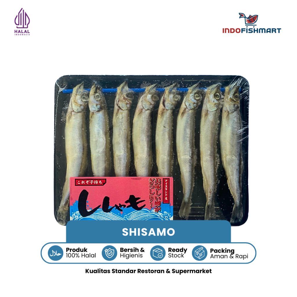 Jual Ikan Shisamo Full Telur Capelin Fish Premium Quality Import 8 pcs ...