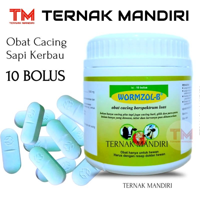 Jual WORMZOL B 10 BOLUS Obat cacing sapi kerbau | Shopee Indonesia