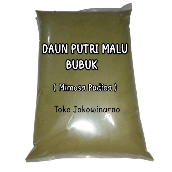 Jual Daun Putri Malu Bubuk Halus isi 1kg ( Mimosa Pudica ) | Shopee ...