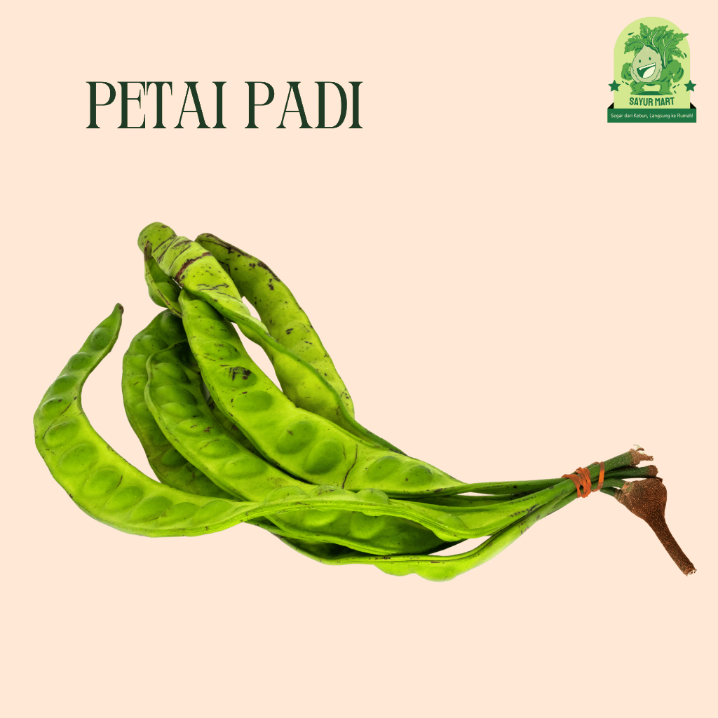Jual Petai Padi Per Pack | Shopee Indonesia
