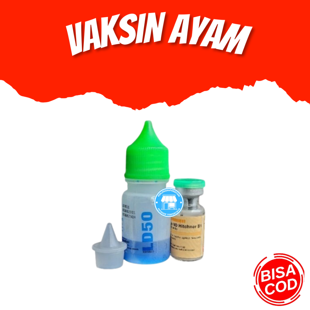Jual Vaksin ND Hitchner B1 Obat Vaksin Ayam, Vaksin Ayam ND | Shopee ...