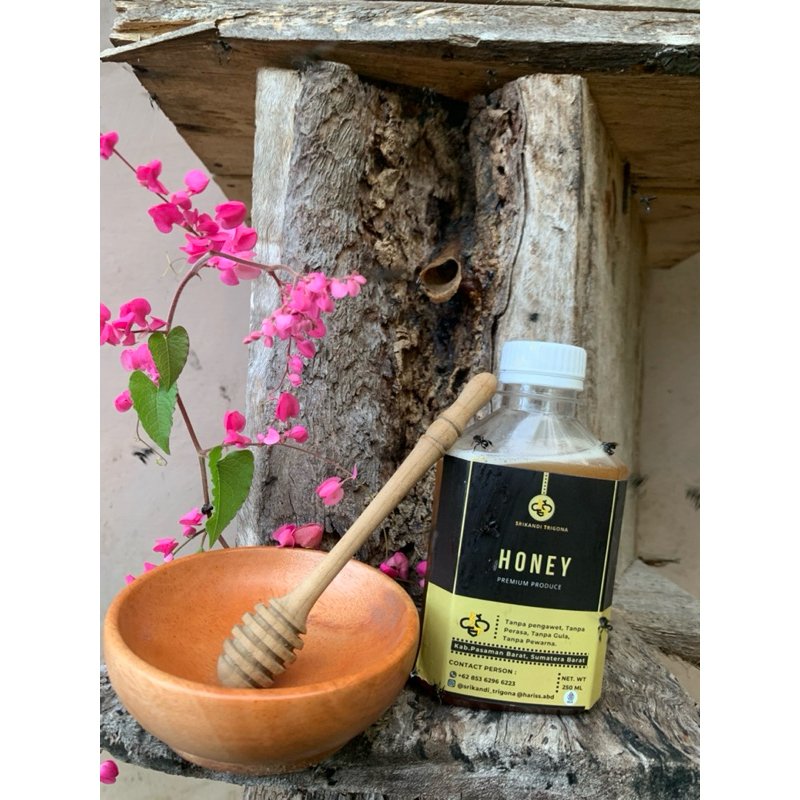 Jual madu trigona 250ml | Shopee Indonesia