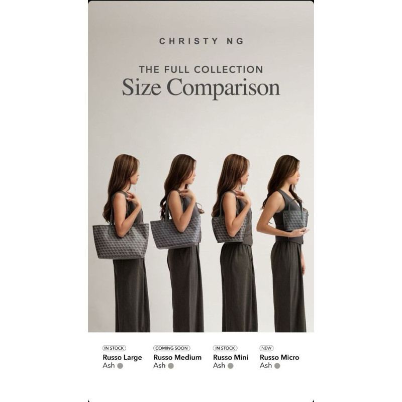 Jual CHRISTY NG - RUSSO MICRO MINI LARGE MEDIUM - FREE DUSTBAG READY TGL 20 JULY 2025 | Shopee ...