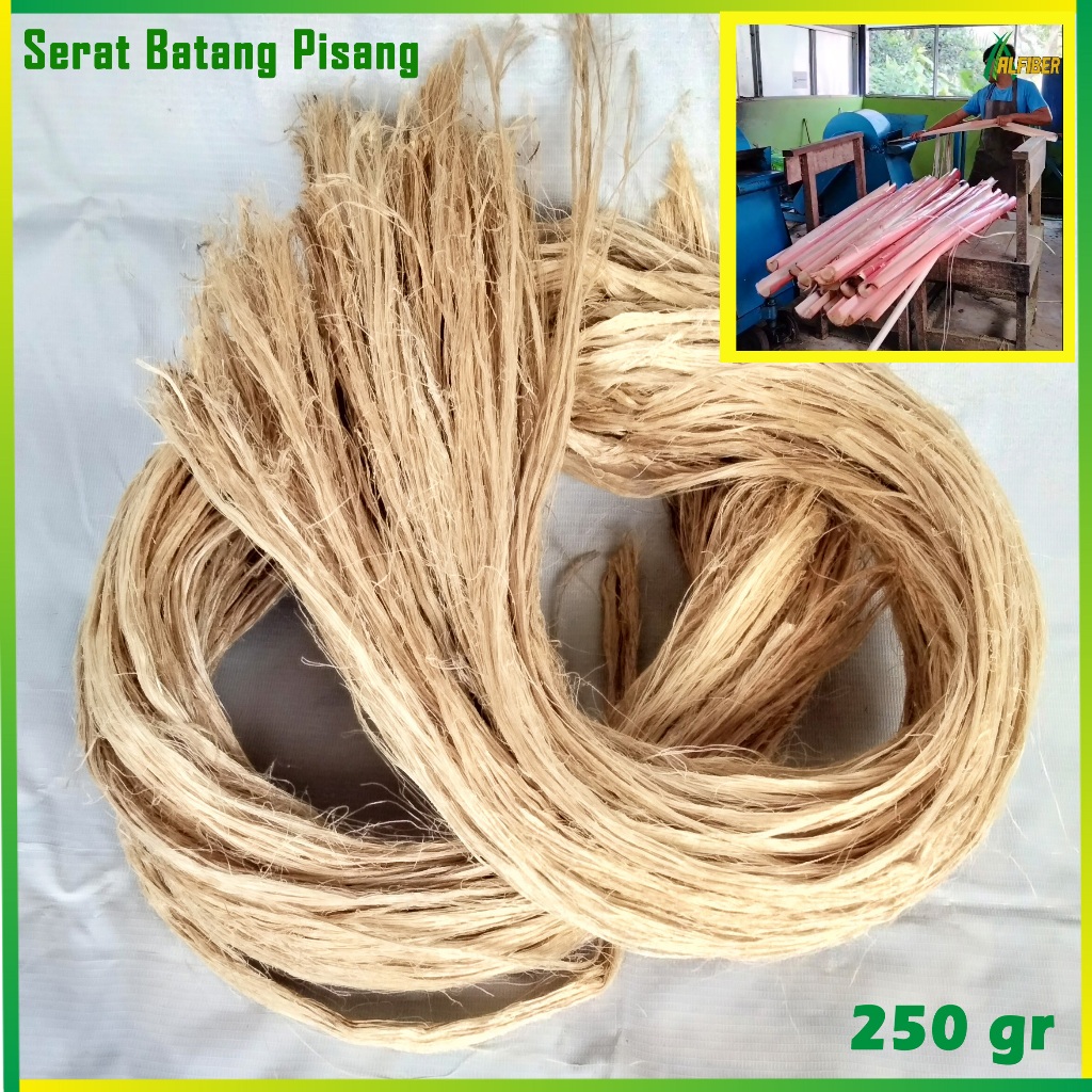 Jual Serat Pisang Serat Batang Pisang Serat Pelepah Pisang Alami (250gr ...