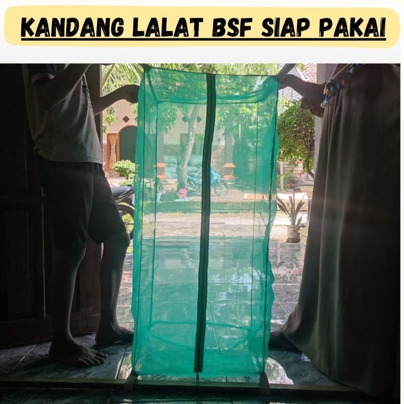 Jual kandang lalat bsf // jaring lalat bsf // maggot bsf ukuran 0.5x0 ...