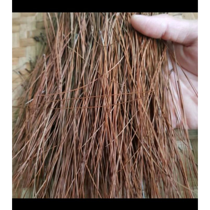 Jual daun pinus kering untuk sarang burung 1 kg | Shopee Indonesia
